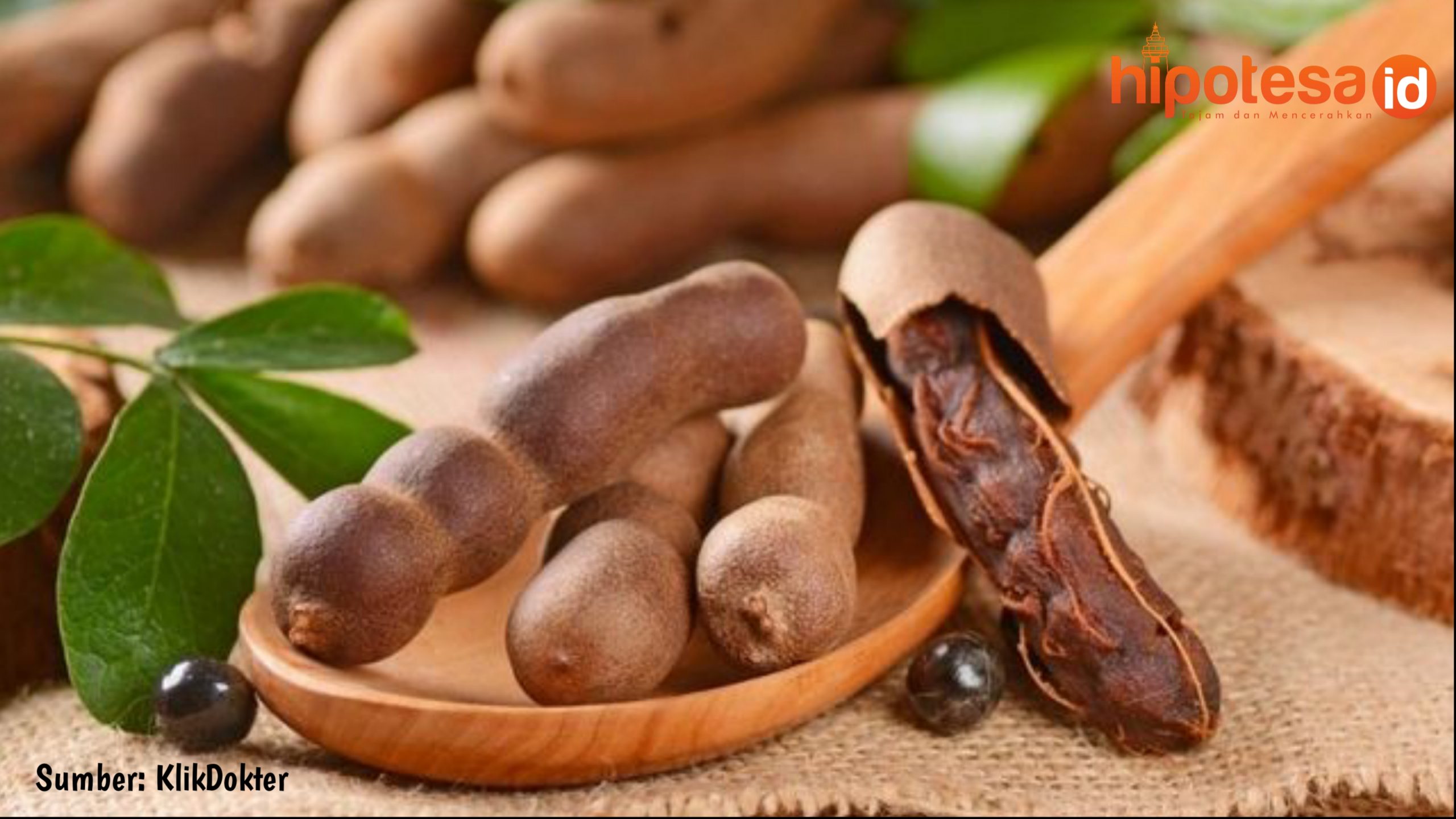 Asam Jawa, si Hitam Banyak Manfaat – Hipotesa